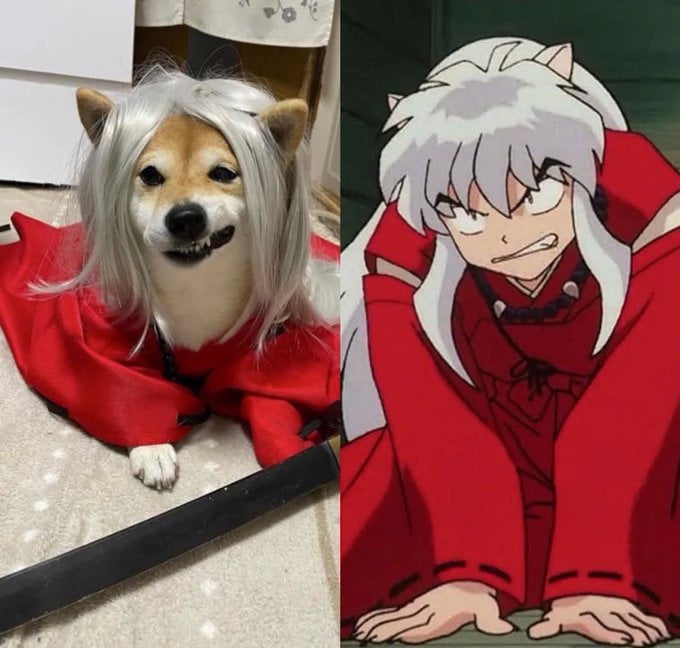 The Perfect Cosplay Doesn't Exis- - 9GAG