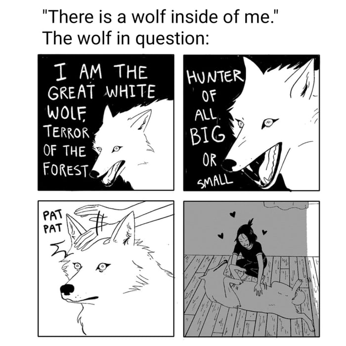 Wolf? More like a good boy. - 9GAG