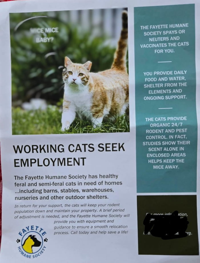 Literal "cats with jobs" flyer - 9GAG