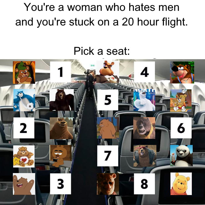 A truly unBEARable flight - 9GAG