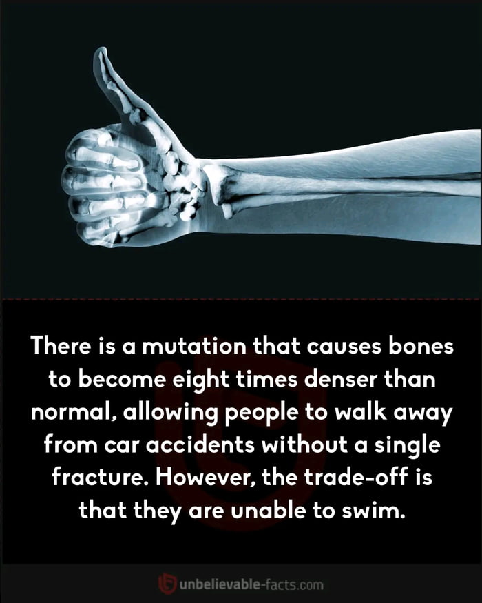 So basically GTA Vice City - 9GAG