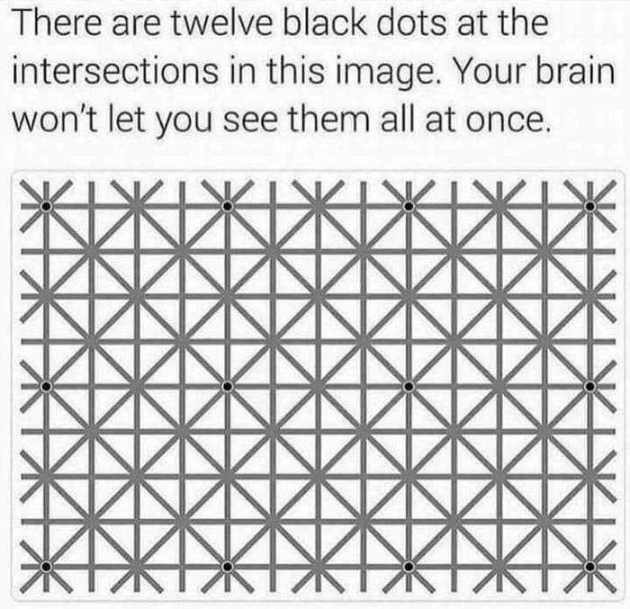 I could see all 12 cuz I ain't got no brain tellin' me what I can or ...