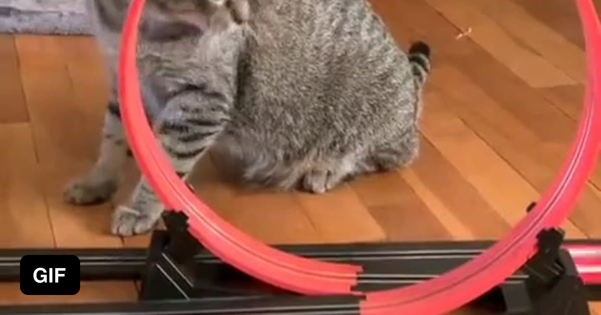 I think I just made my first perfect loop in a real video. I can remember the old days here ...