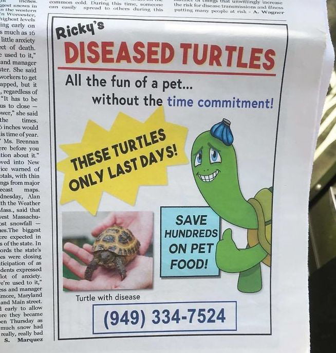 Ricky's diseased turtles - 9GAG