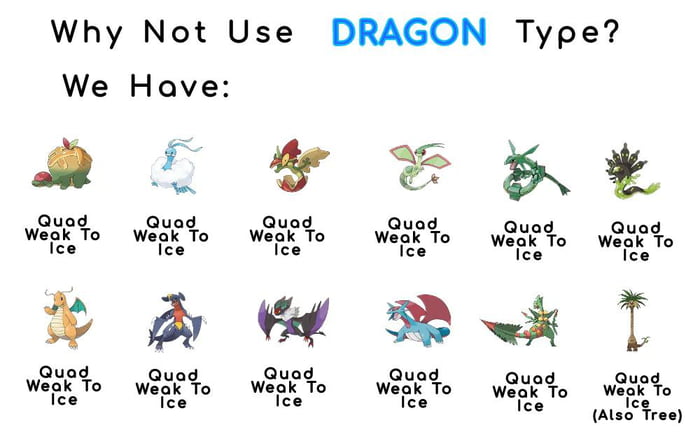 Why Not Use Dragon Type 9gag