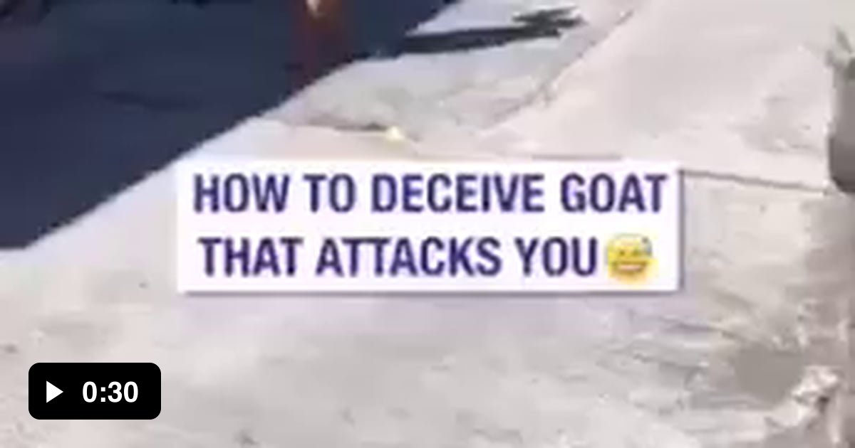 Man playing with a goat - 9GAG