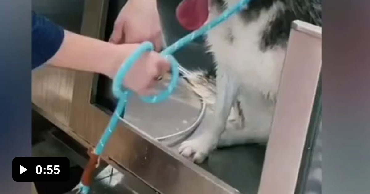 Relationships simply explained. - 9GAG