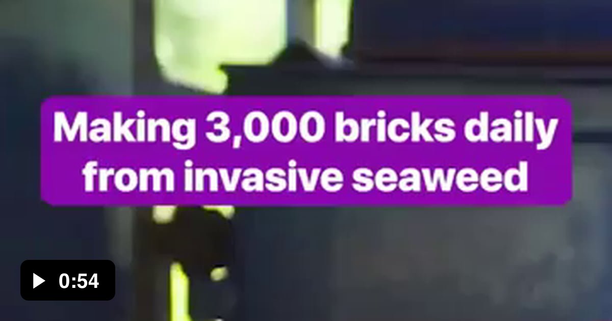 Making Bricks From Seaweed - 9GAG
