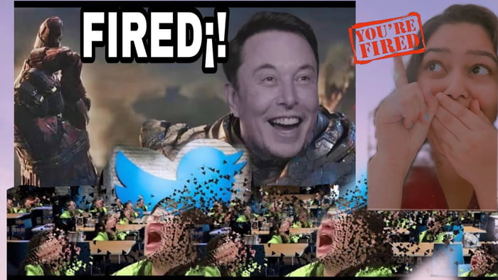 Awesome Elon Twitter meme… - 9GAG