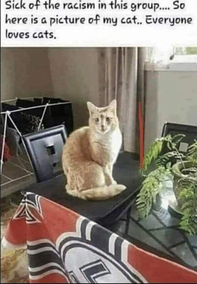 His name is Kitler - 9GAG