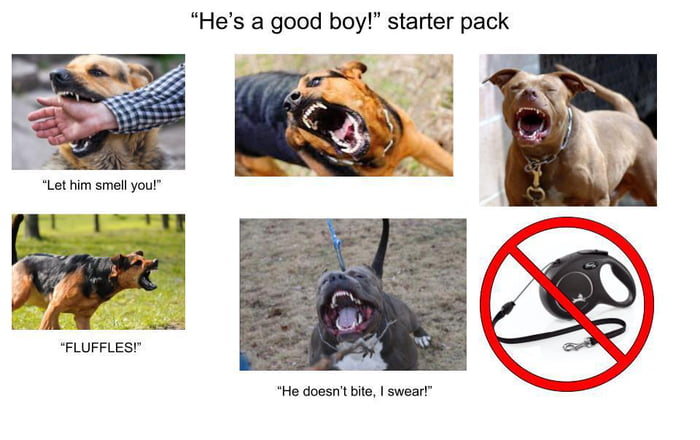 "He's a good boy!" starter pack - 9GAG