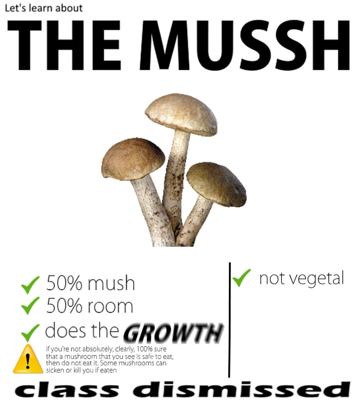 There is not enough Mussh in my Rooom - 9GAG
