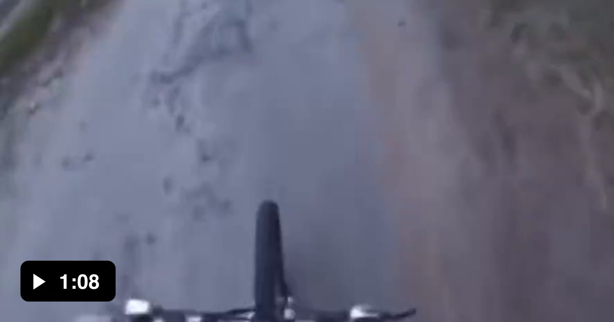 Look for the bear necessities - 9GAG