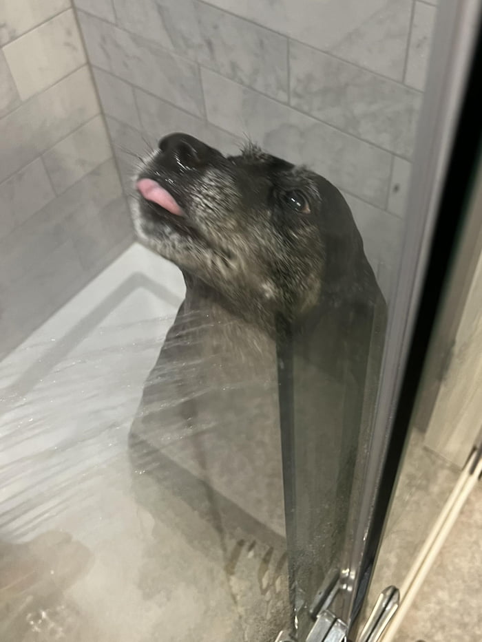 We always get the best photos at bathtime. - 9GAG