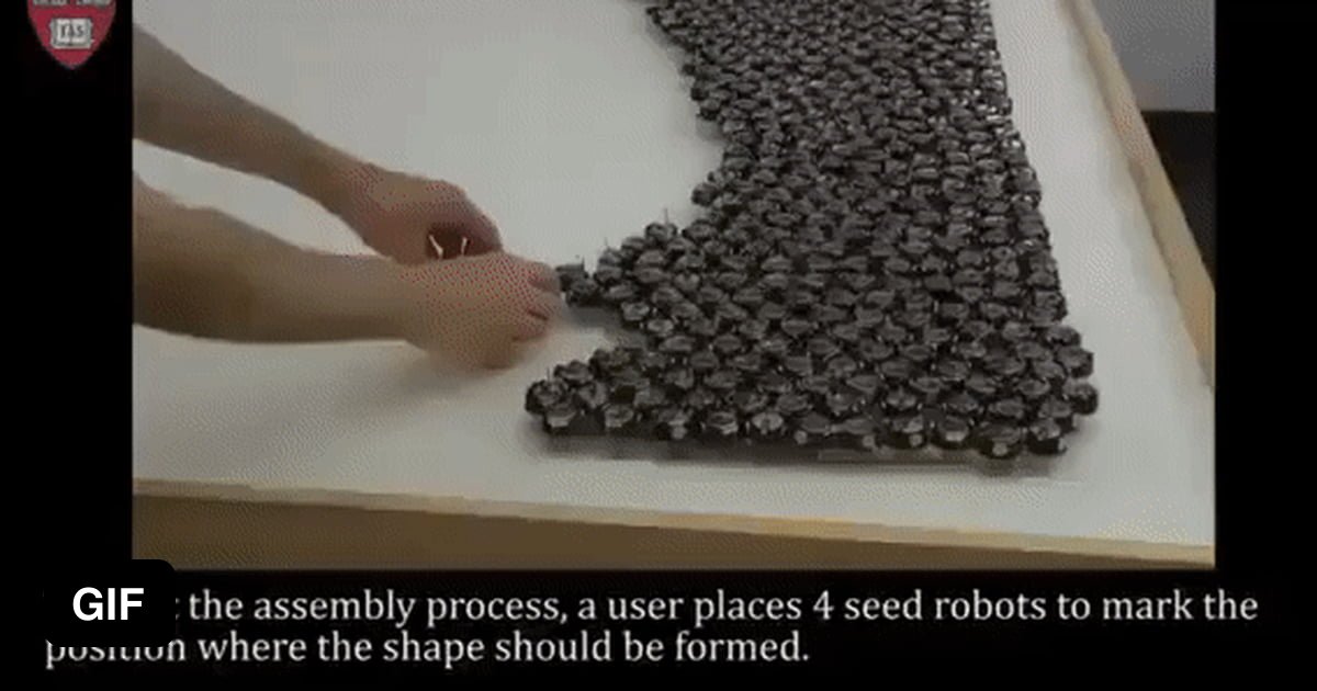 Harvard engineers programmed a swarm of seed robots to collectively ...