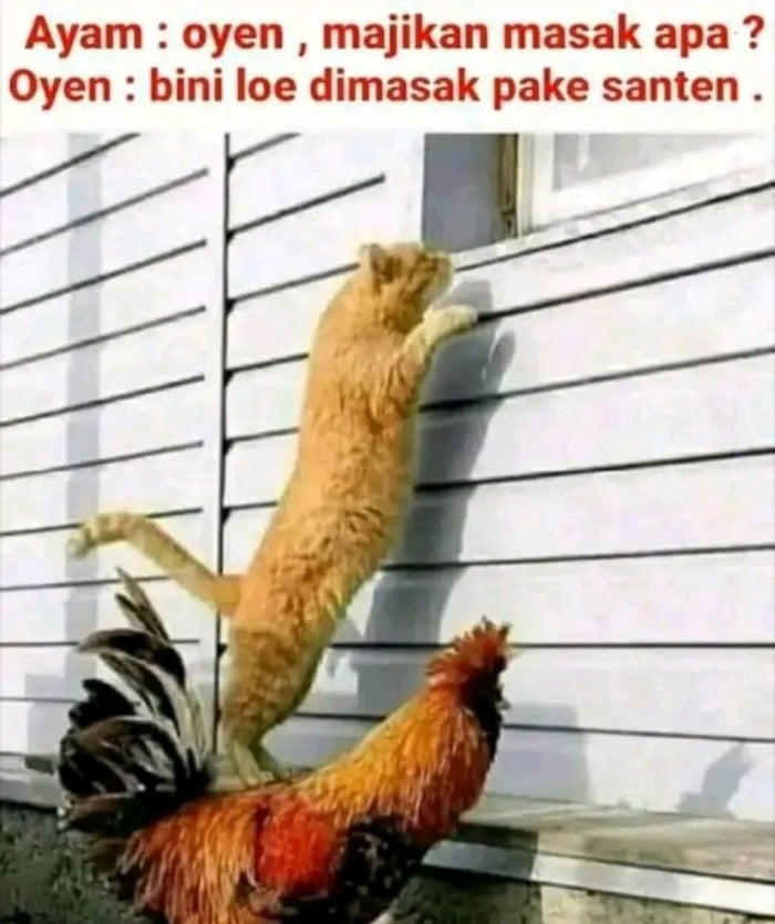 Kocheng oyen - 9GAG