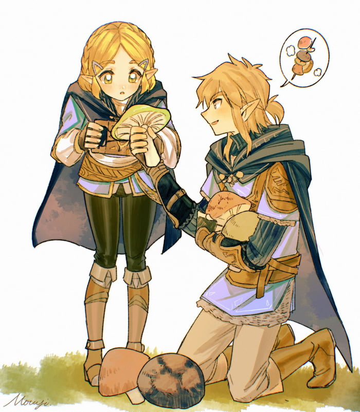 Zelda and Link - 9GAG