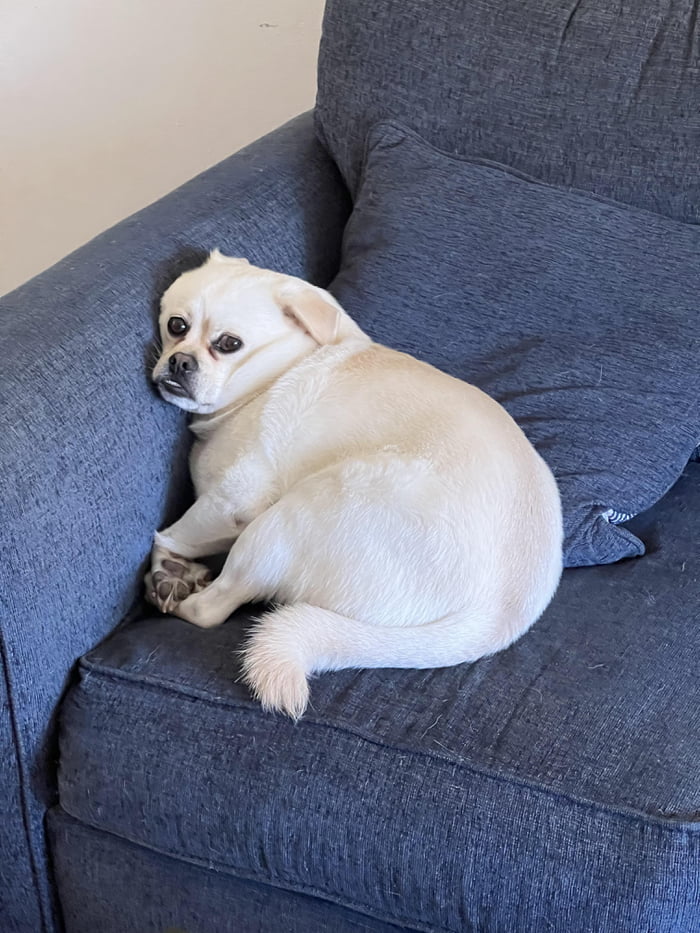 He let out a big sigh after getting “comfortable” - 9GAG