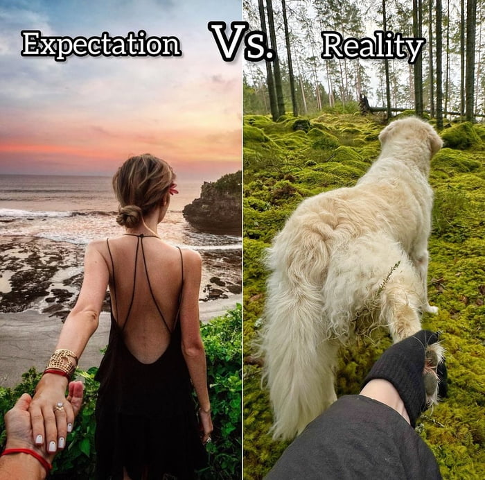 Go team doggo! - 9GAG