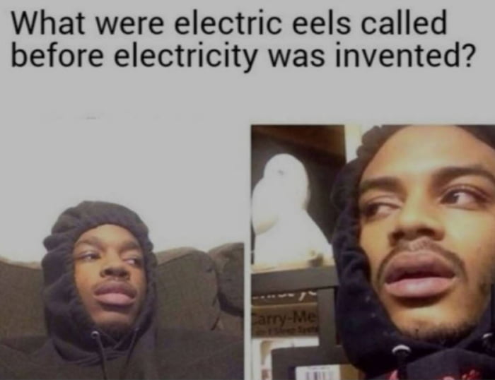 Vibration eels ? - 9GAG