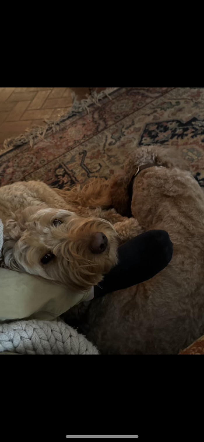 “Hey, Mom!” - 9GAG