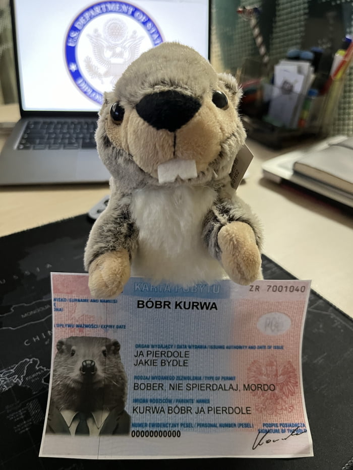 New team member Bobr Kurwa - 9GAG