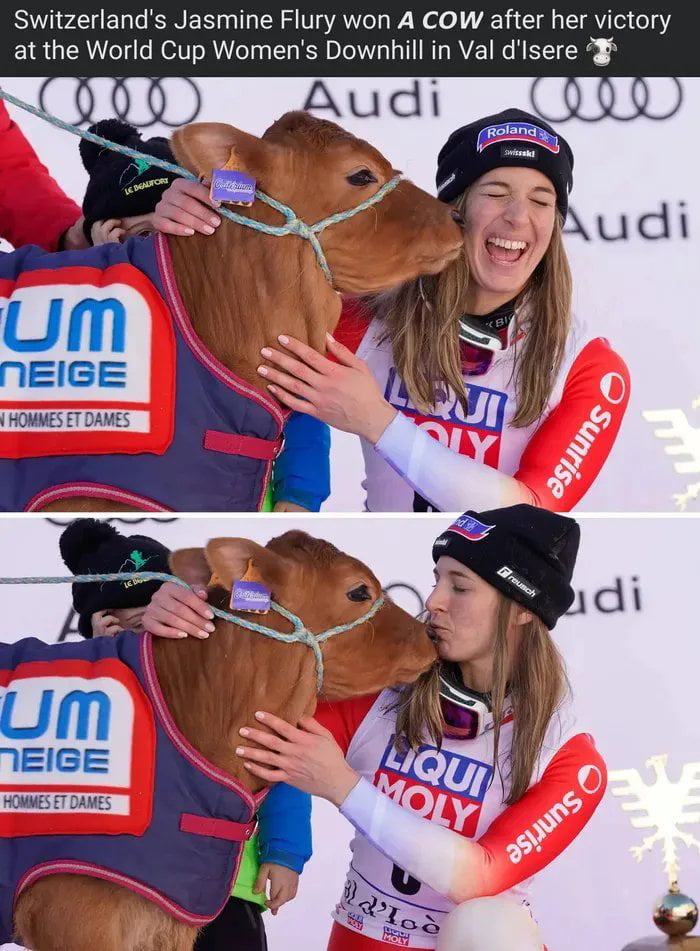 When you've seen this post like 5 times but dang, it's a nice cow - 9GAG