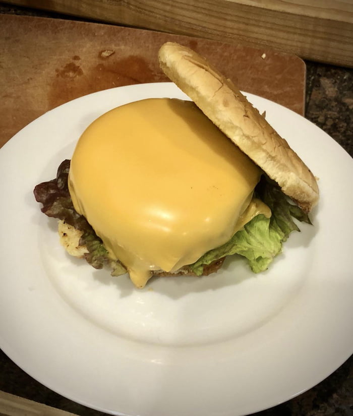 The way the cheese melted on this cheeseburger - 9GAG