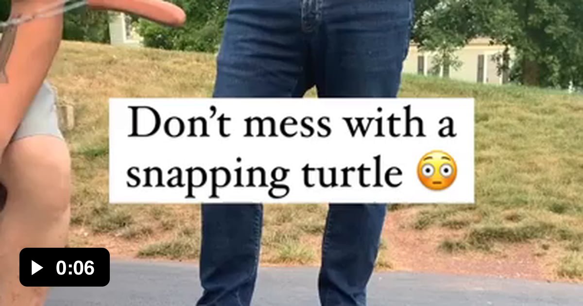 The biting speed of a snapping turtle - 9GAG
