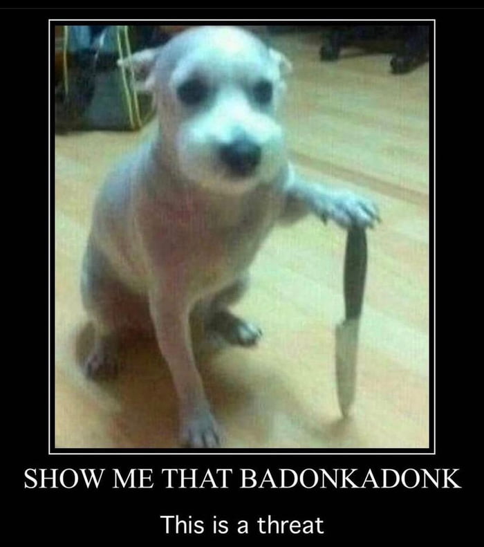 Why are you reading this, send badonkadonk! - 9GAG