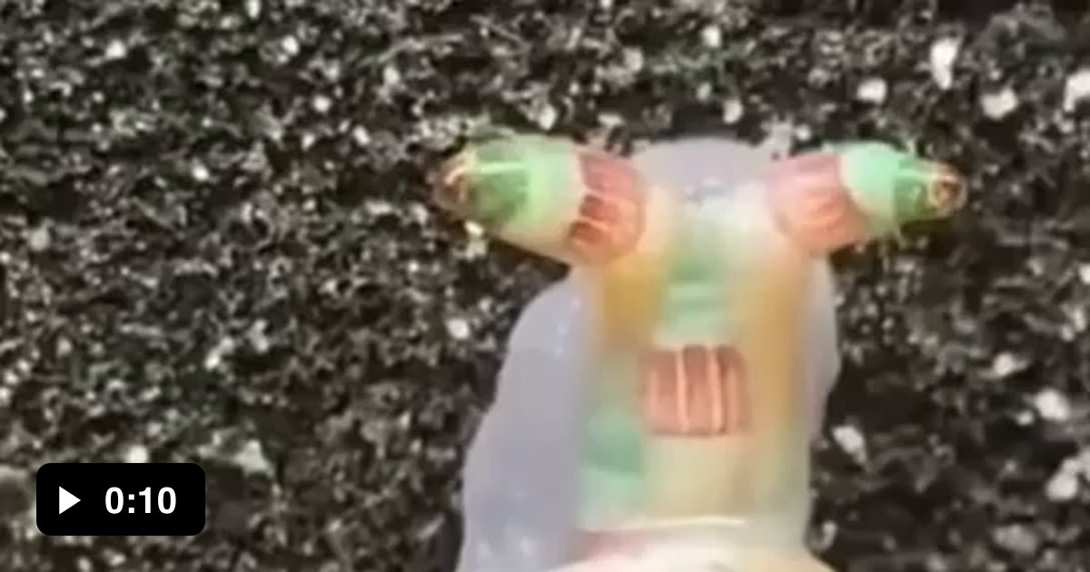 Parasitic worm inside of a snail - 9GAG