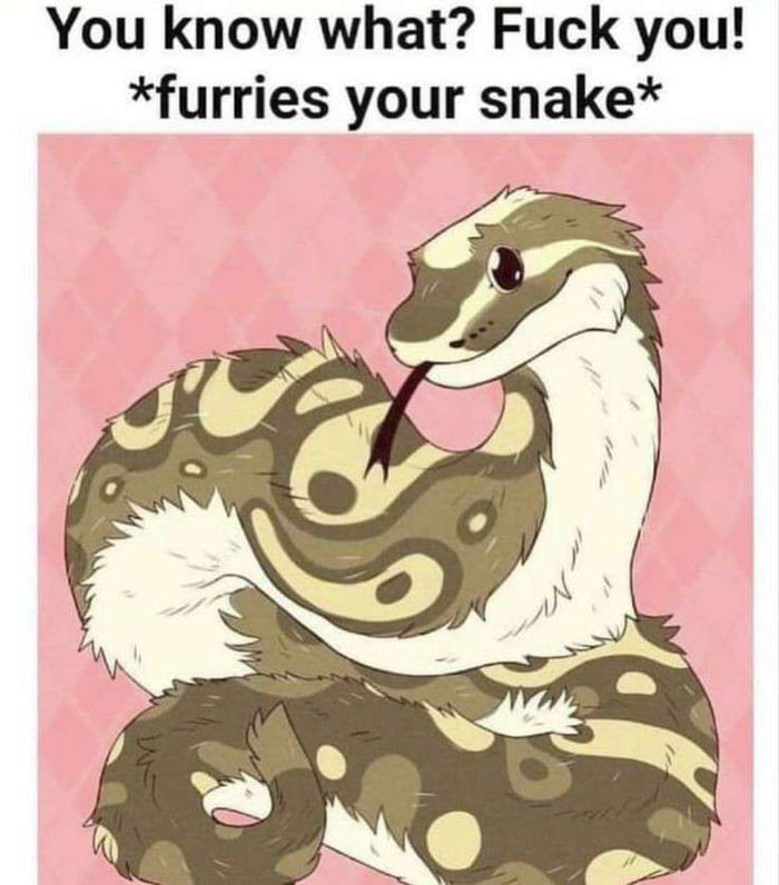 Screw you all and see you tomorrow - 9GAG