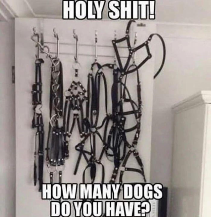 And why do you only have one large cage for them?! - 9GAG