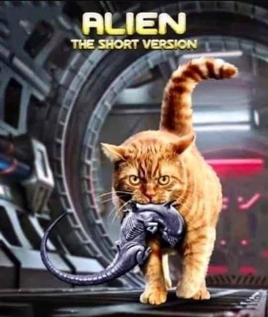 Aliens suck. Get em kitty. - 9GAG