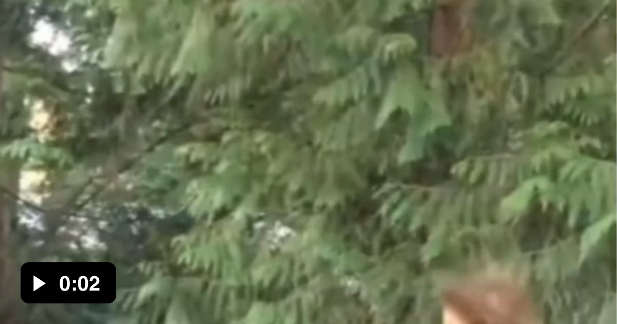 It’s not a bug. It’s a feature - 9GAG