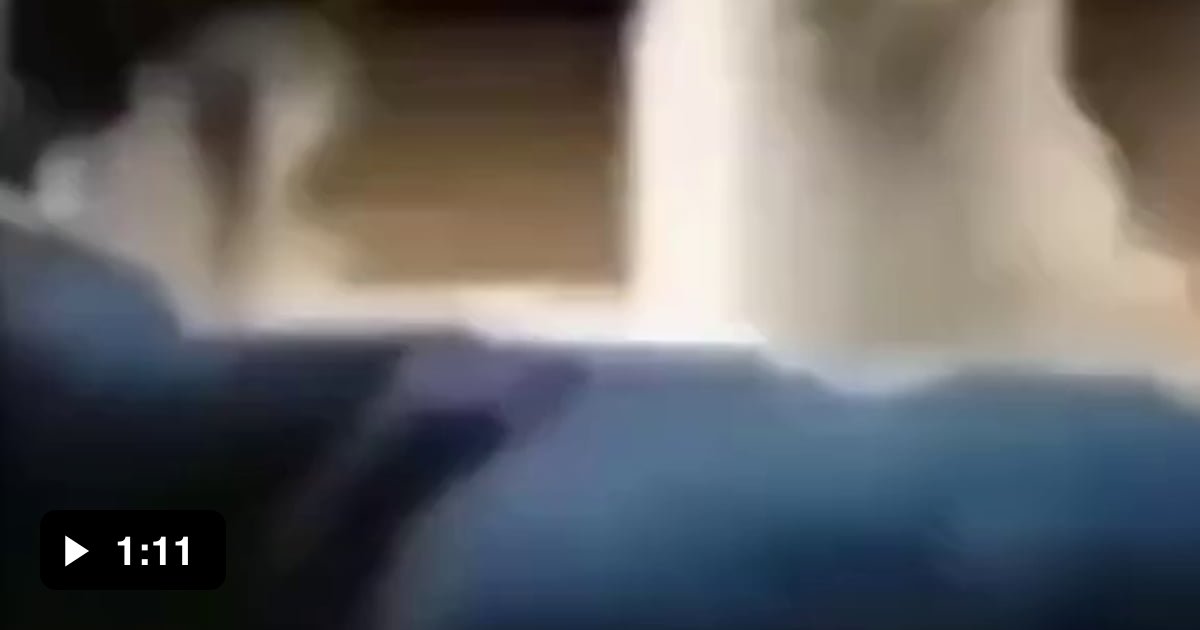 Random cats compilation - 9GAG