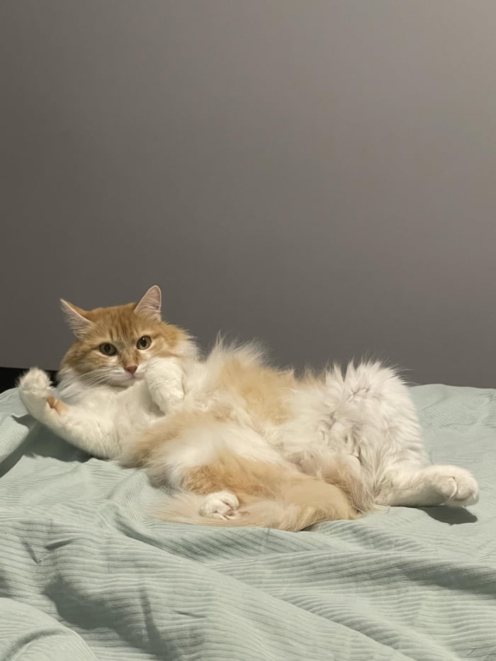 She always strikes strange poses - 9GAG