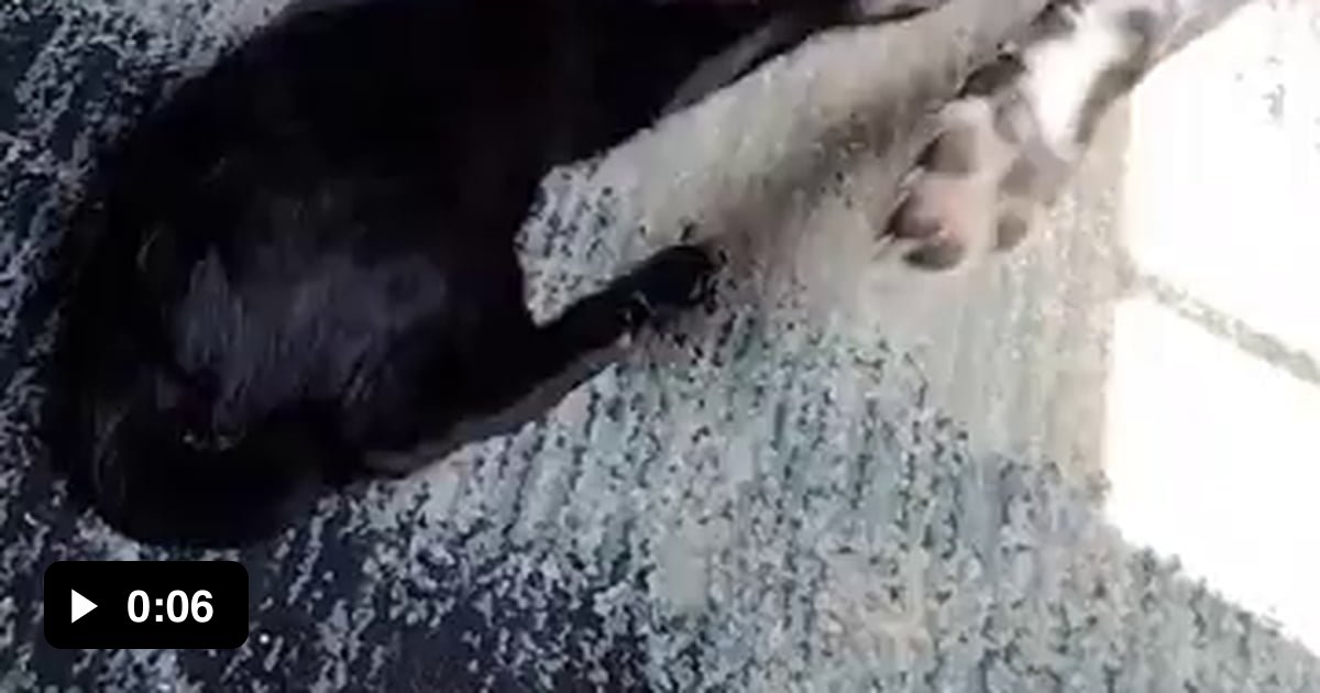 Full derp face - 9GAG