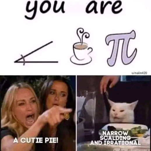 Cat is always right(he is on the left) - 9GAG