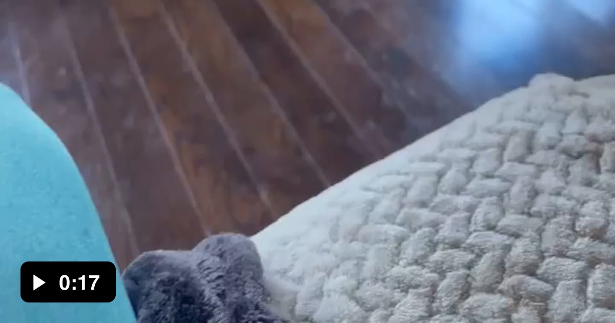 You have a smooth brain… no ridges or bumps, no valleys or lumps, ideas ...