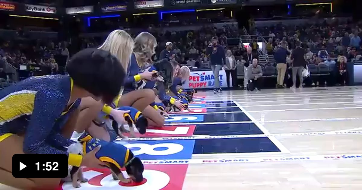 The Indiana Pacers held a puppy race at halftime. It was part of an ...