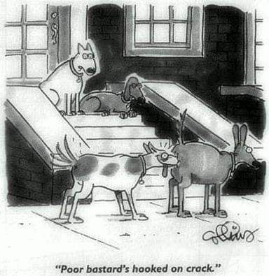 Hooked on crack - 9GAG