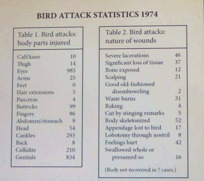 Bird attack statistics - 9GAG