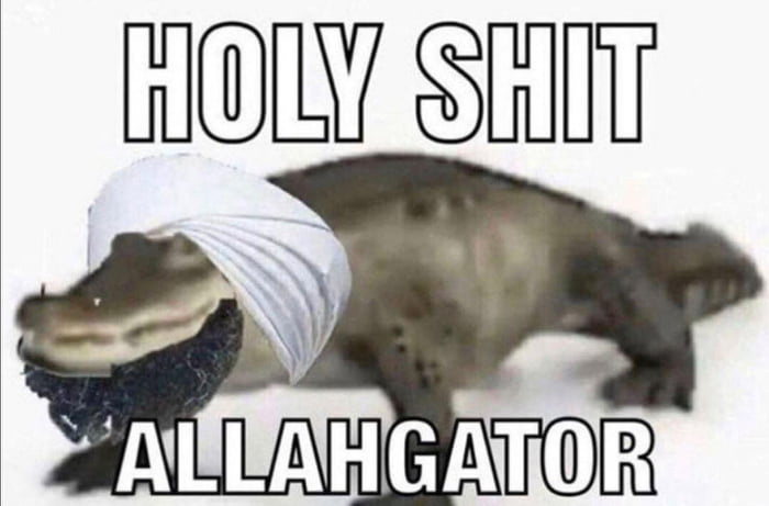 Allahgator, god of gators and all of Florida - 9GAG