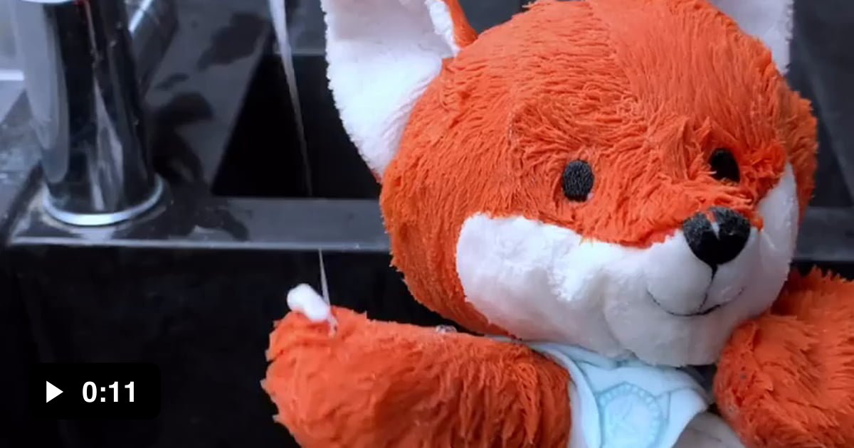 Fox *glove washing itself - 9GAG