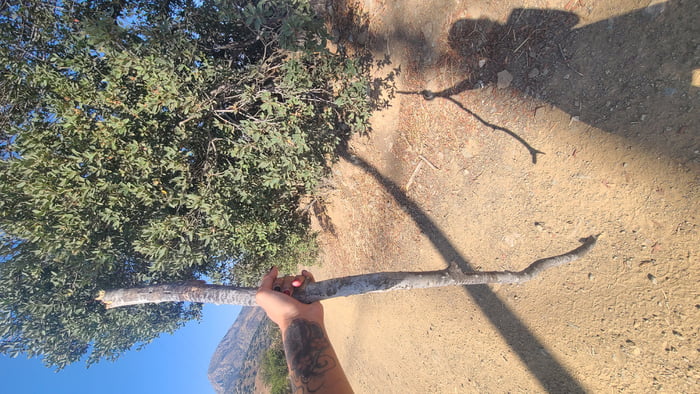 Rate my stick - 9GAG