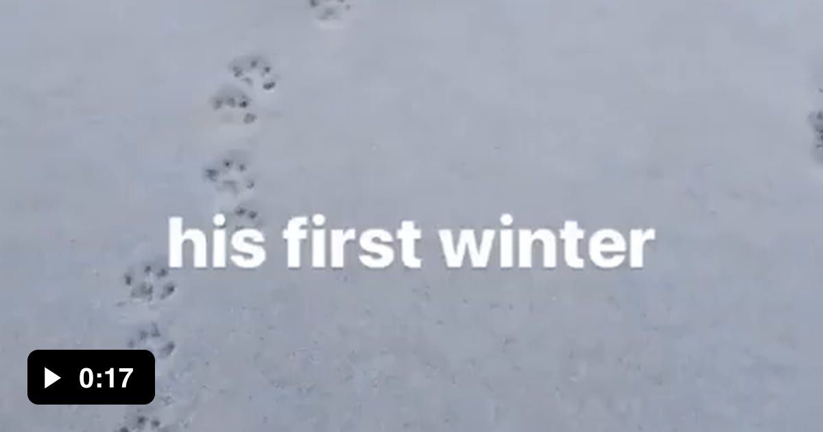 First winter - 9GAG