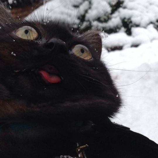 Derping around - 9GAG