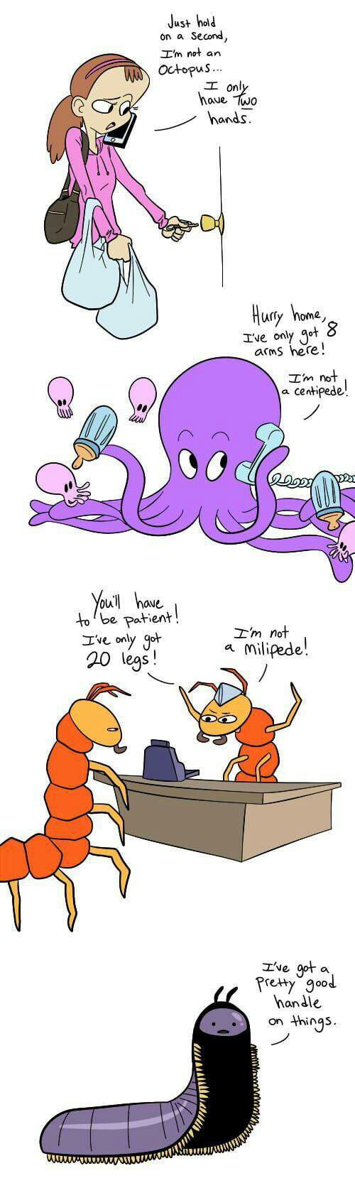 Millipede doesn't give a f*** - 9GAG