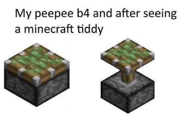 I love those damn Minecraft tiddies! - 9GAG